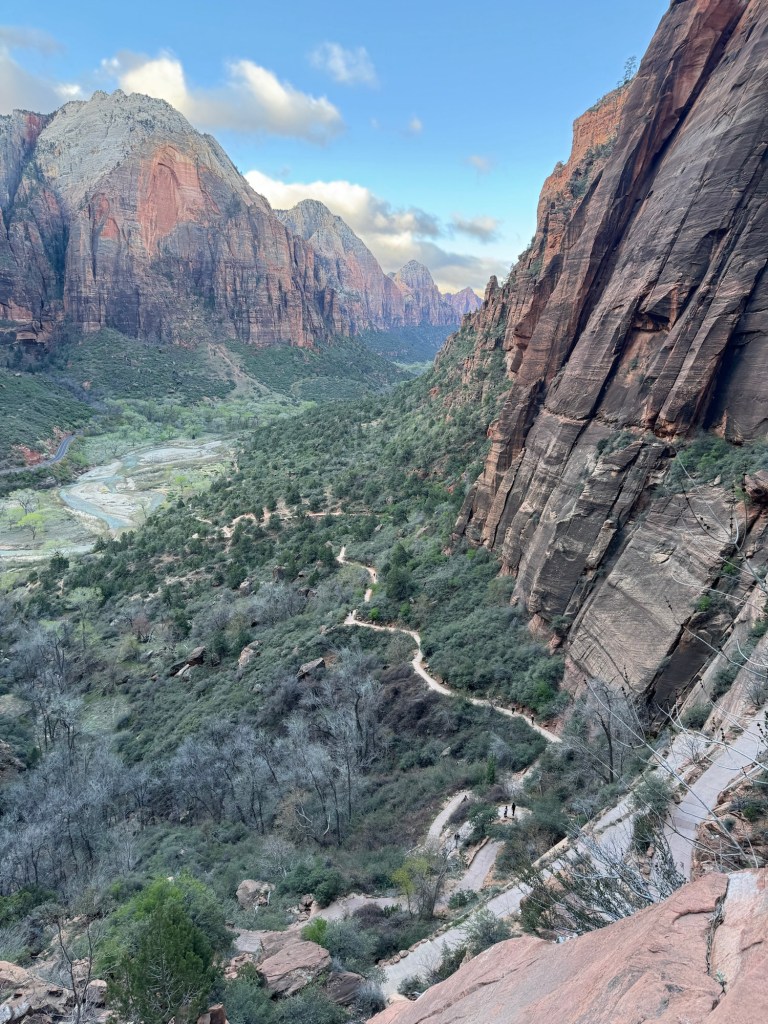Hiking to Scout Lookout in Zion National Park – She Makes Her Own Adventure