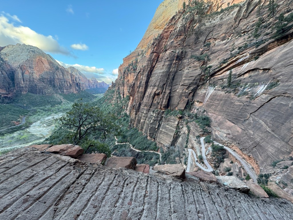 Hiking to Scout Lookout in Zion National Park – She Makes Her Own Adventure